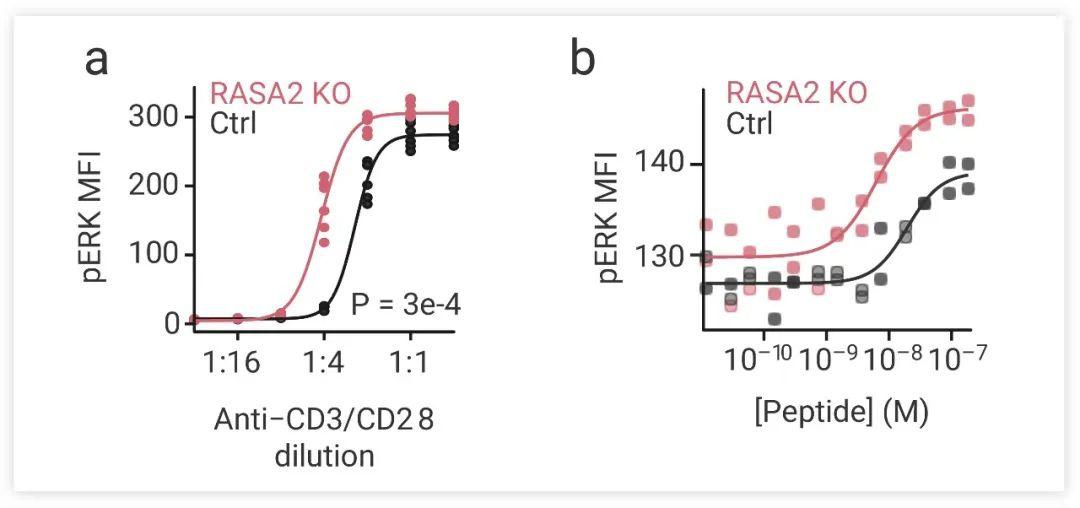 Nature | RASA2-KO——让过继性 T 细胞持久更有效 - MedChemExpress - 知乎