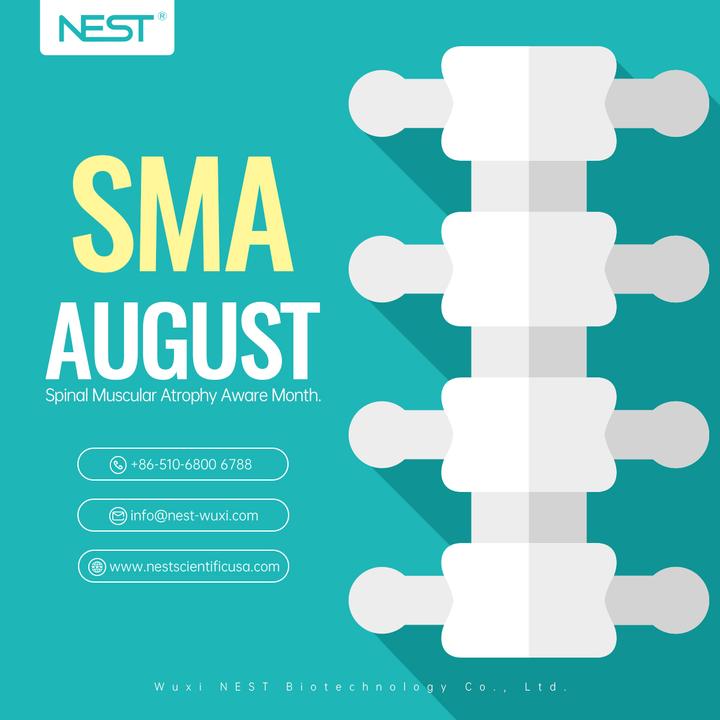 罕见病科普 脊髓性肌萎缩症(sma) 知乎