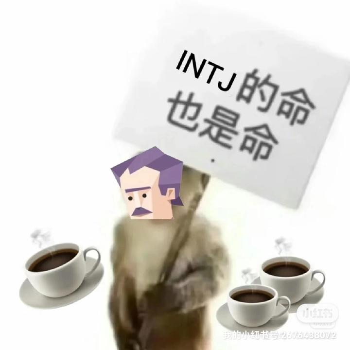 我与intj相处的那些年 - 知乎