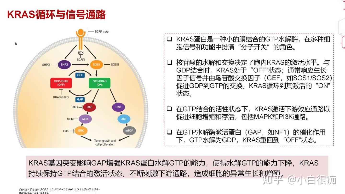 肠癌KRAS基因突变 - 知乎