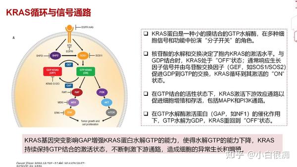 肠癌KRAS基因突变 - 知乎