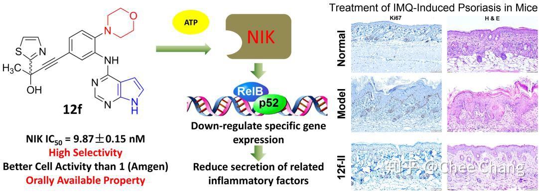 JMC：药大陆涛/陈亚东课题组发现具有抗银屑病活性的选择性NIK抑制剂 - 知乎