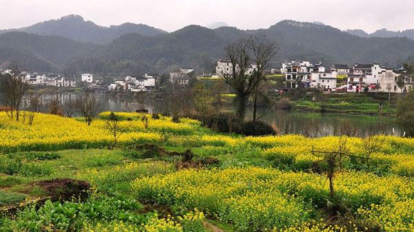 他用20年证明：扶贫也可以商业化 - 知乎