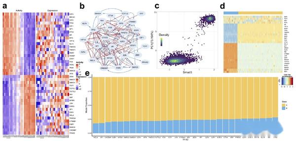 NetAct:利用基因活性构建核心转录因子调控网络 - 知乎