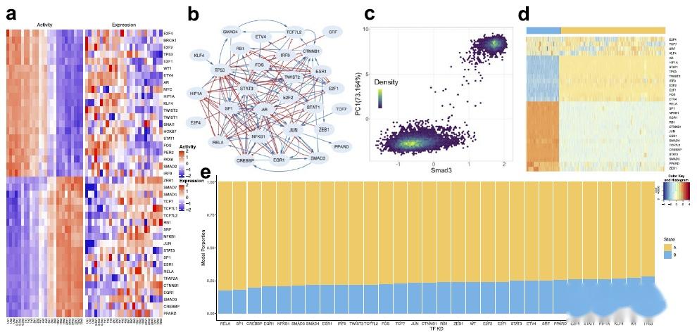 NetAct:利用基因活性构建核心转录因子调控网络 - 知乎