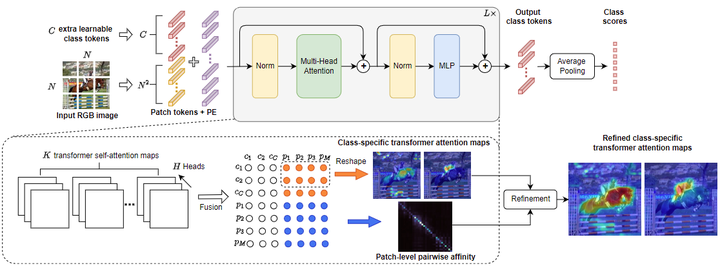 【论文阅读】《Multi-class Token Transformer for Weakly Supervised Semantic Segmentation(CVPR2022)》 - 知乎