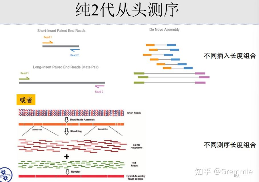 基因组装的概念/算法(OLC,K-mer)详解 - 知乎