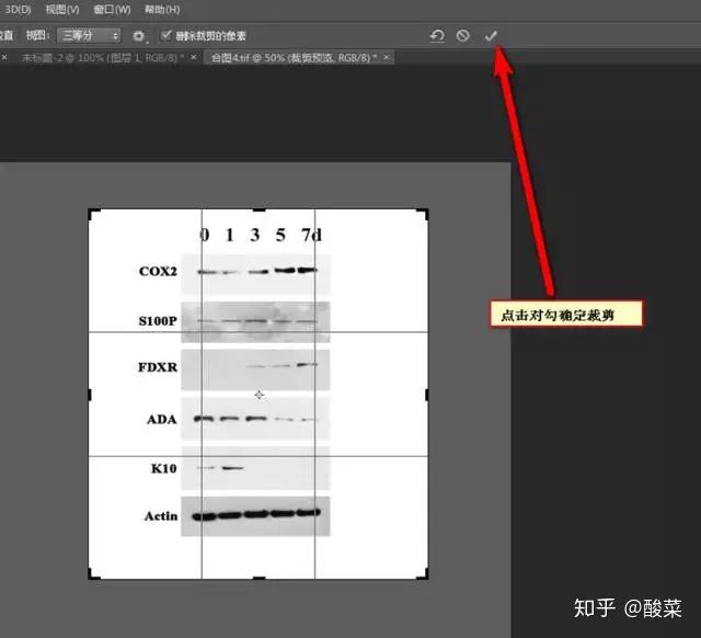 一步一步教你做WB图，超简单！ - 知乎