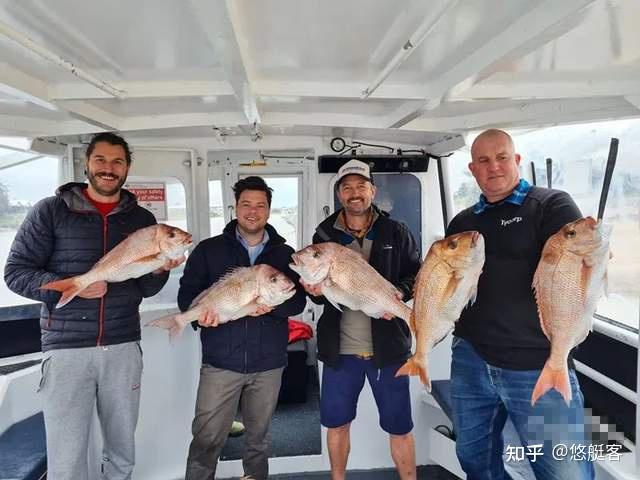 船钓 Snapper (Pink) 粉红鲷鱼 | 澳大利亚 墨尔本 Melbourne 站 - 知乎