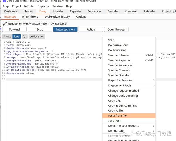 【2023最新版】超详细Burp Suite安装保姆级教程，Burp Suite的基本介绍及使用，收藏这一篇就够了 - 知乎