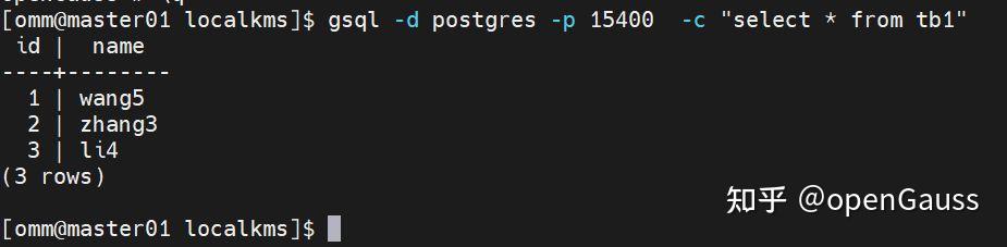 详解openGauss客户端工具gsql的高级用法 - 知乎