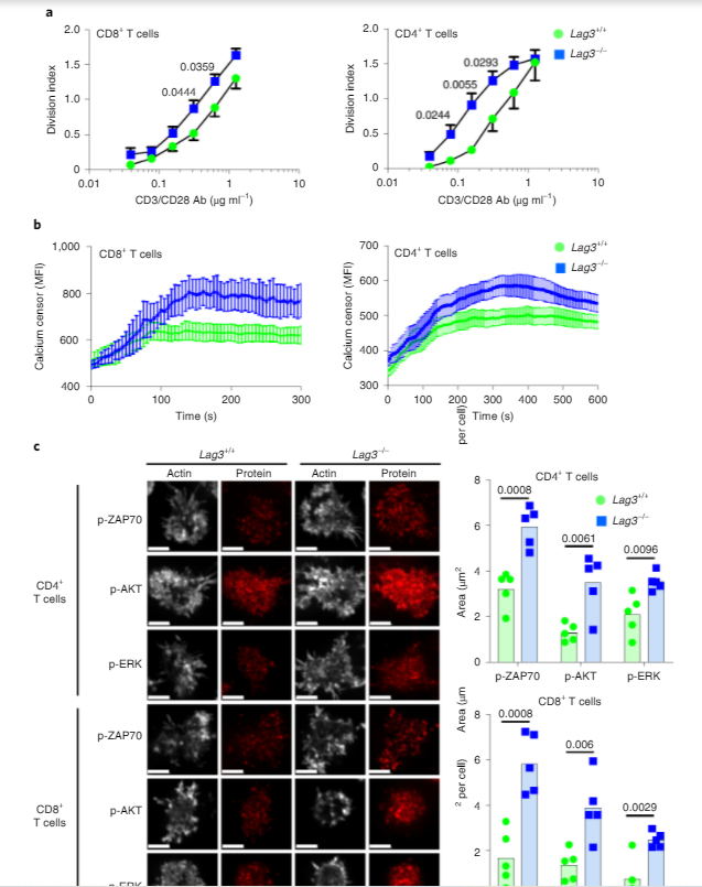 Nat Immu | 解密LAG3抑制T细胞机制 - 知乎