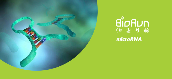 植物microRNA研究入门指南 - 知乎