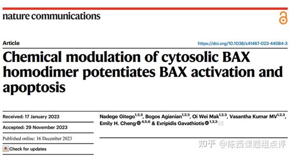 Nat.Commun.【前沿】|胞质 BAX 同型二聚体的化学调节增强了 BAX 的活化和凋亡 - 知乎