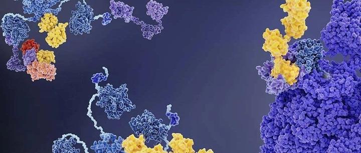 成功降解KARS，PROTAC之后，CHAMP来了！ - 知乎