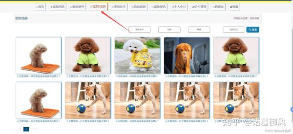 基于Java+SpringMVC+vue+element宠物管理系统设计实现 - 知乎