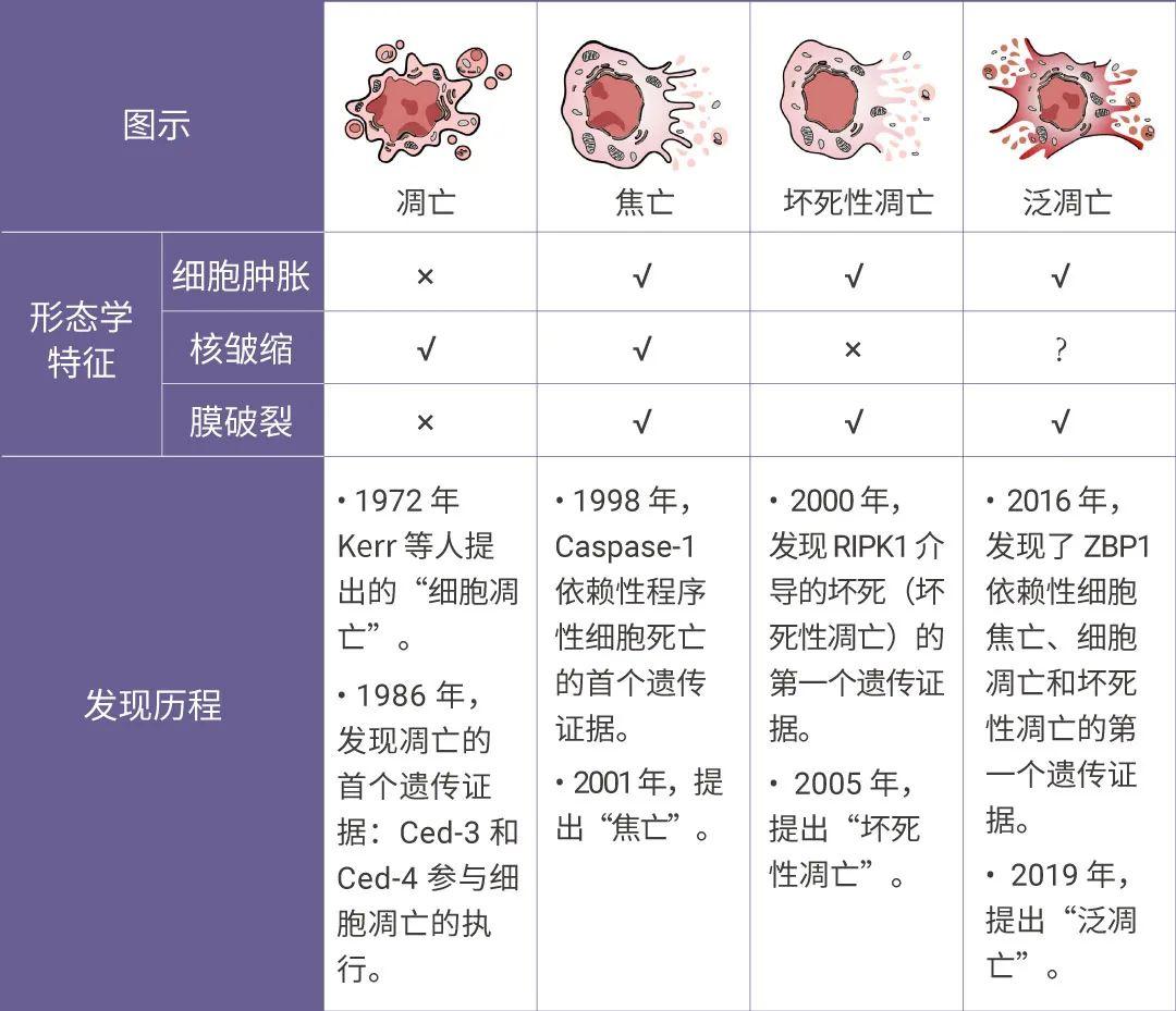 泛凋亡 (PANoptosis) 的检测指标是什么？ - 知乎