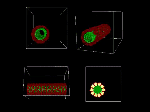开源科学工程技术软件介绍70 – 多尺度多细胞虚拟组织建模软件CompuCell3D - 知乎