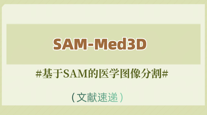 文献速递：文献速递：基于SAM的医学图像分割--SAM-Med3D - 知乎