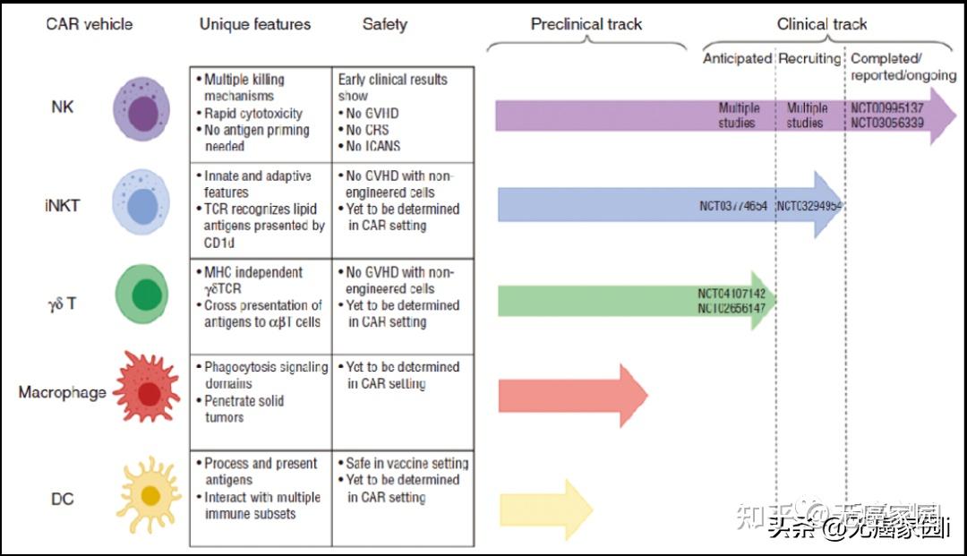 用免疫细胞治病救命！CAR-T、CAR-NK、CAR-NKT、CAR-M、CAR-γδT、CAR-Treg等疗法直击各大癌种！ - 知乎