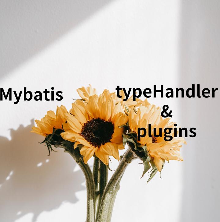【Mybatis】Mybatis核心配置文件深入之typeHandler标签（类型转换）与plugins标签（分页查询） - 知乎