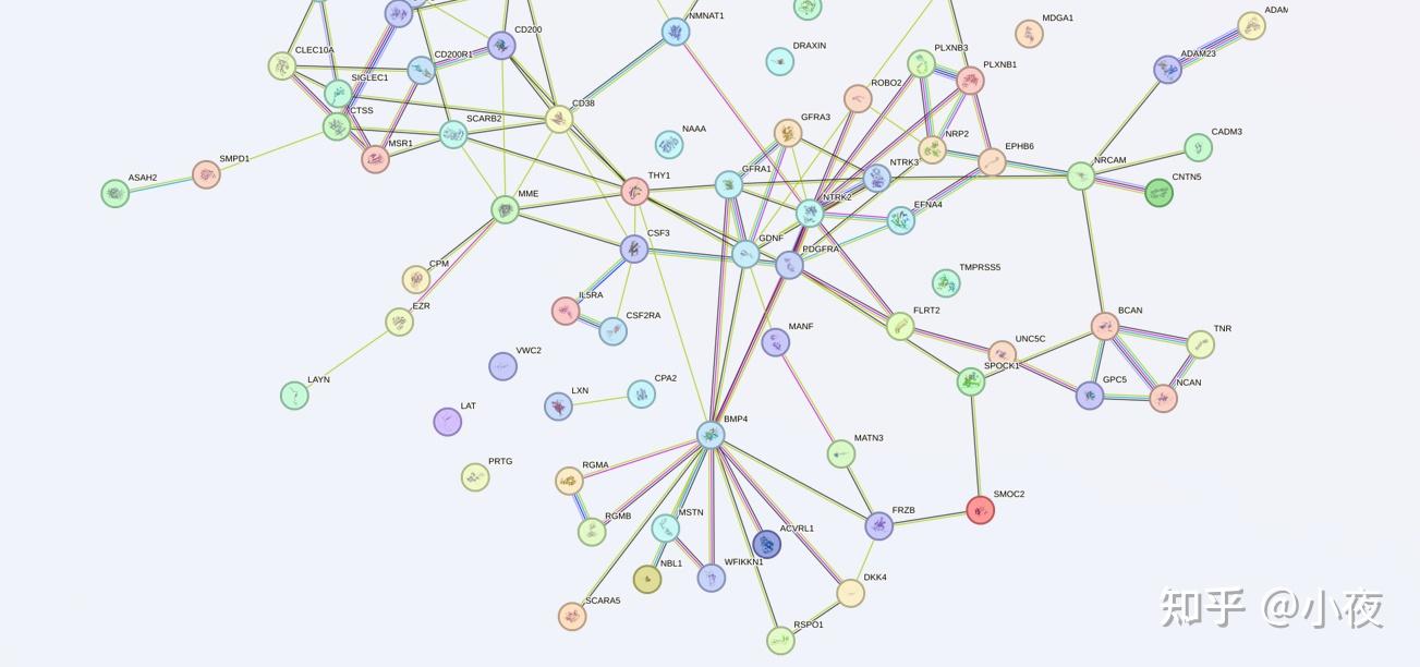 STRINGdb蛋白互做分析数据库下载及获得高清png图片 - 知乎