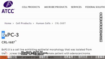 BxPC-3细胞培养，人原位胰腺腺癌细胞培养攻略 - 知乎
