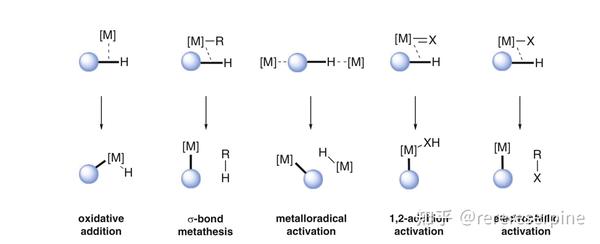 笔记《C-H activation》 Pd-Catalyzed C–H Bond Functionalization on the ...