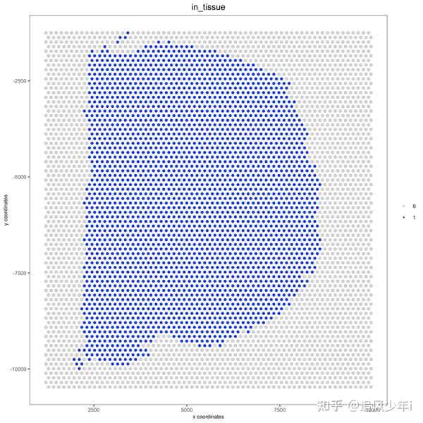 10X空间转录组分析回顾之Giotto - 知乎