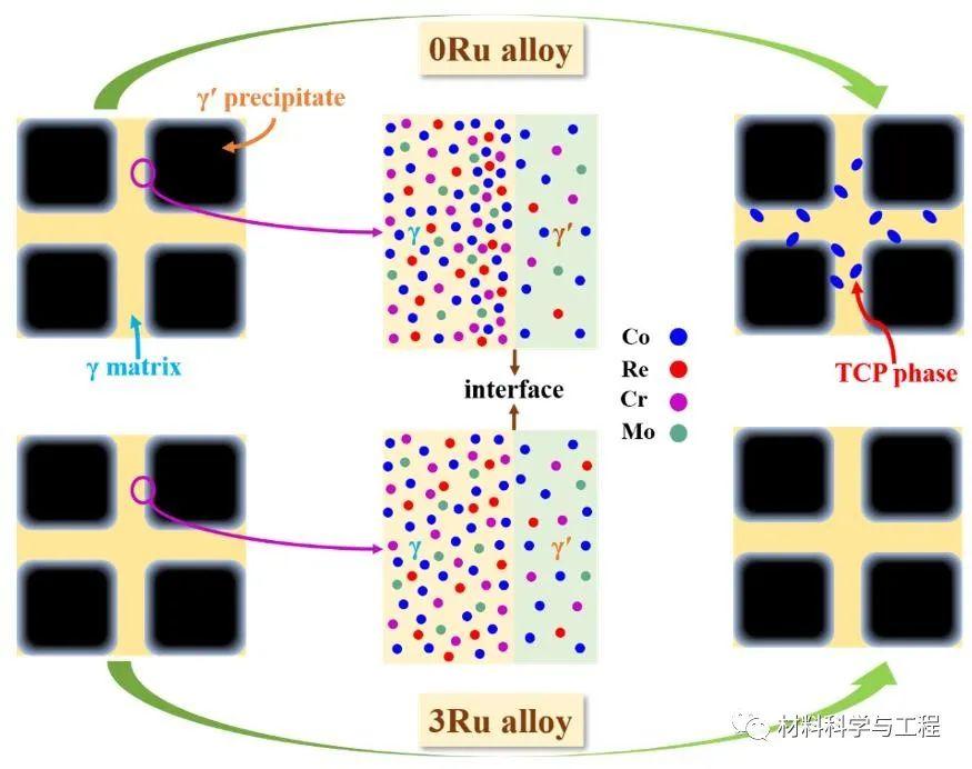 西工大《JMST》：新观点！镍基单晶高温合金的组织稳定性 - 知乎