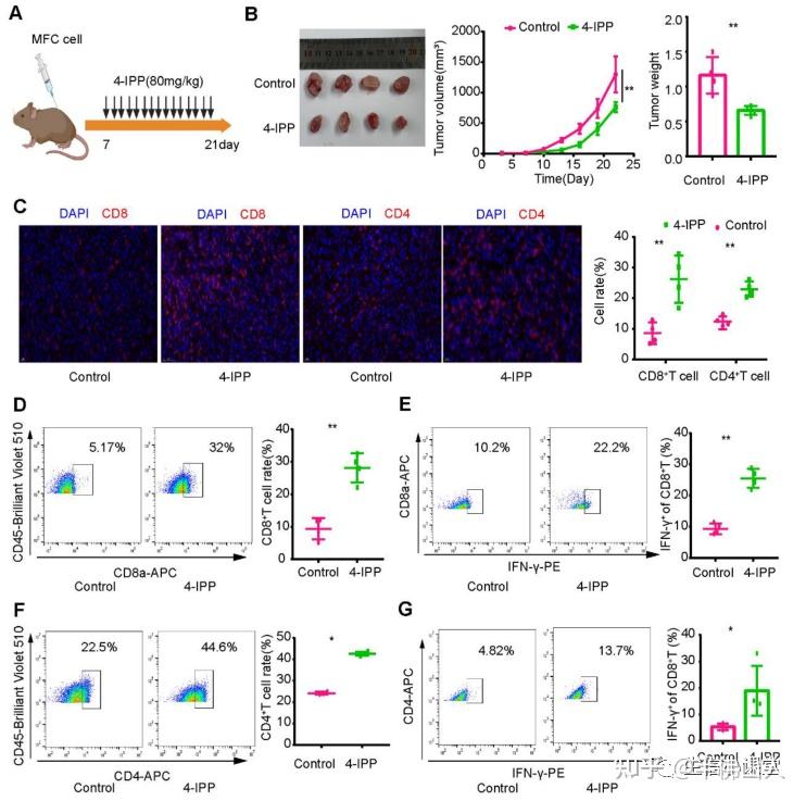 12+SCI，肿瘤分型+评分+自测数据验证+实验验证。做到这些工作，你也可以发10+！ - 知乎