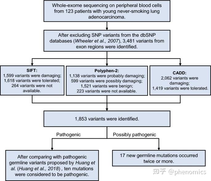 Phenomics | Phenomics期刊2023年第二期文章合集 - 知乎