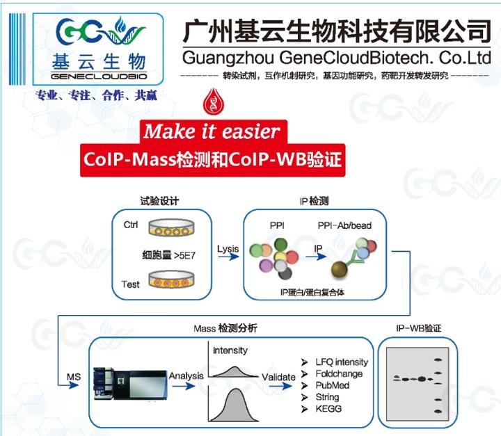 CoIP-WB实验检测方案和检测要点 - 知乎