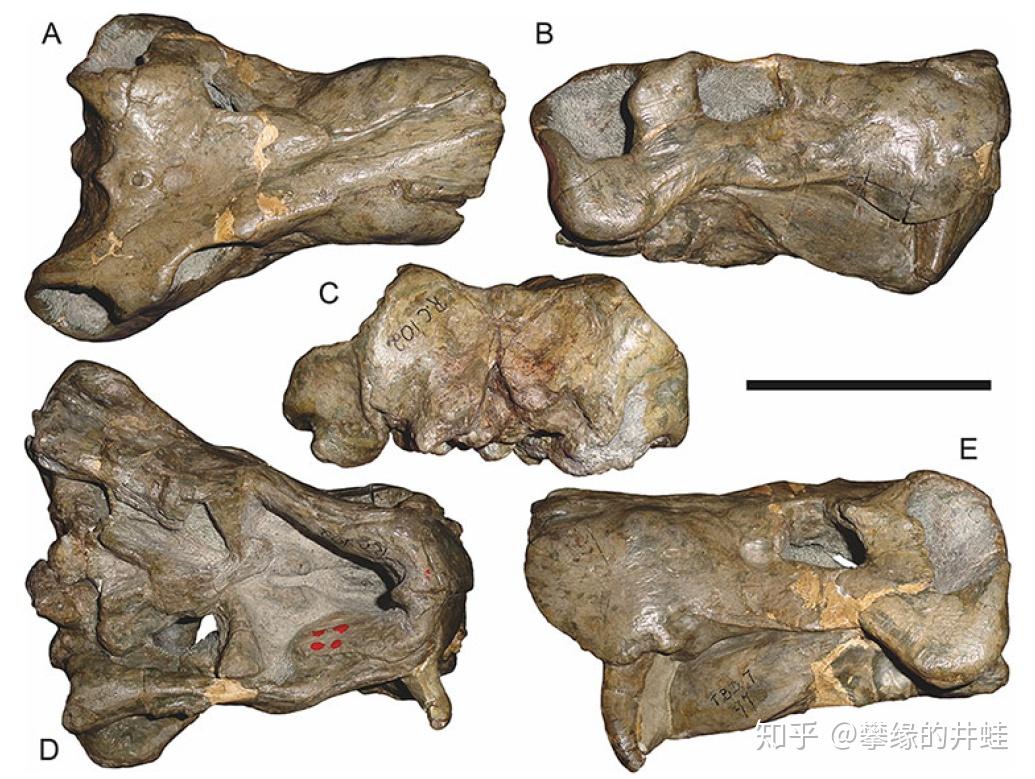 【地球演义】百兽图6：惊饕餮 - 知乎