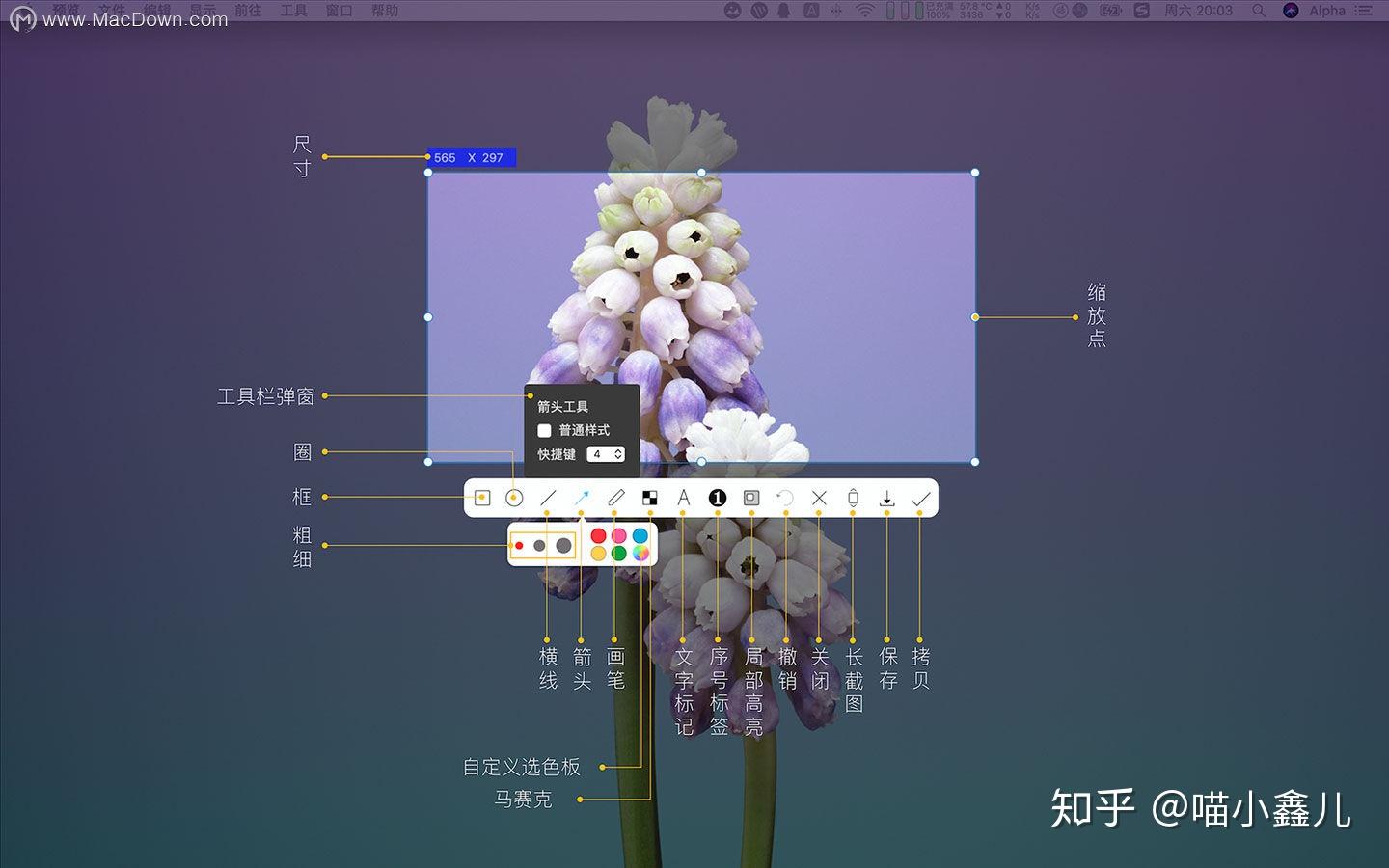 iShot for Mac(优秀的长截图标注工具) v1.5.6中文版 - 知乎