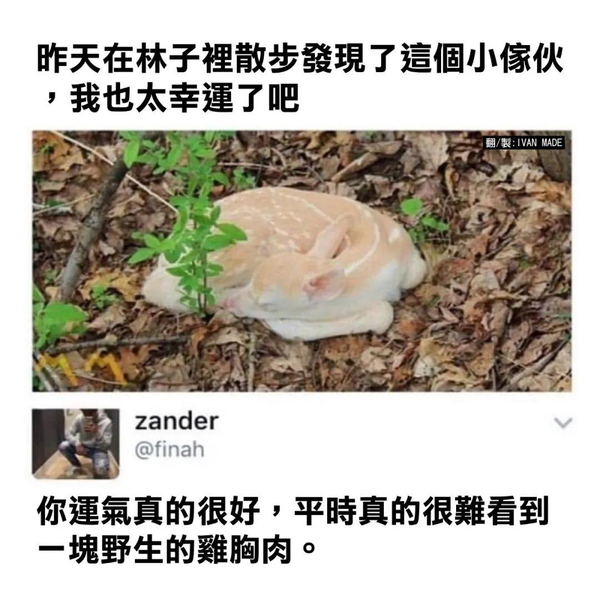 你有哪些让人笑到肚子疼的搞笑图片？18 知乎