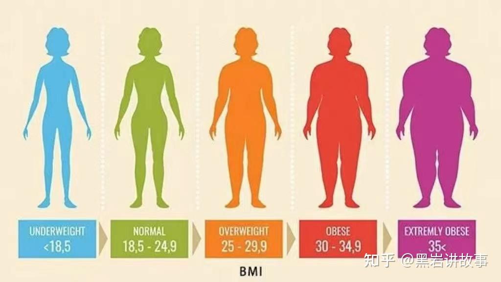 BMI BMI