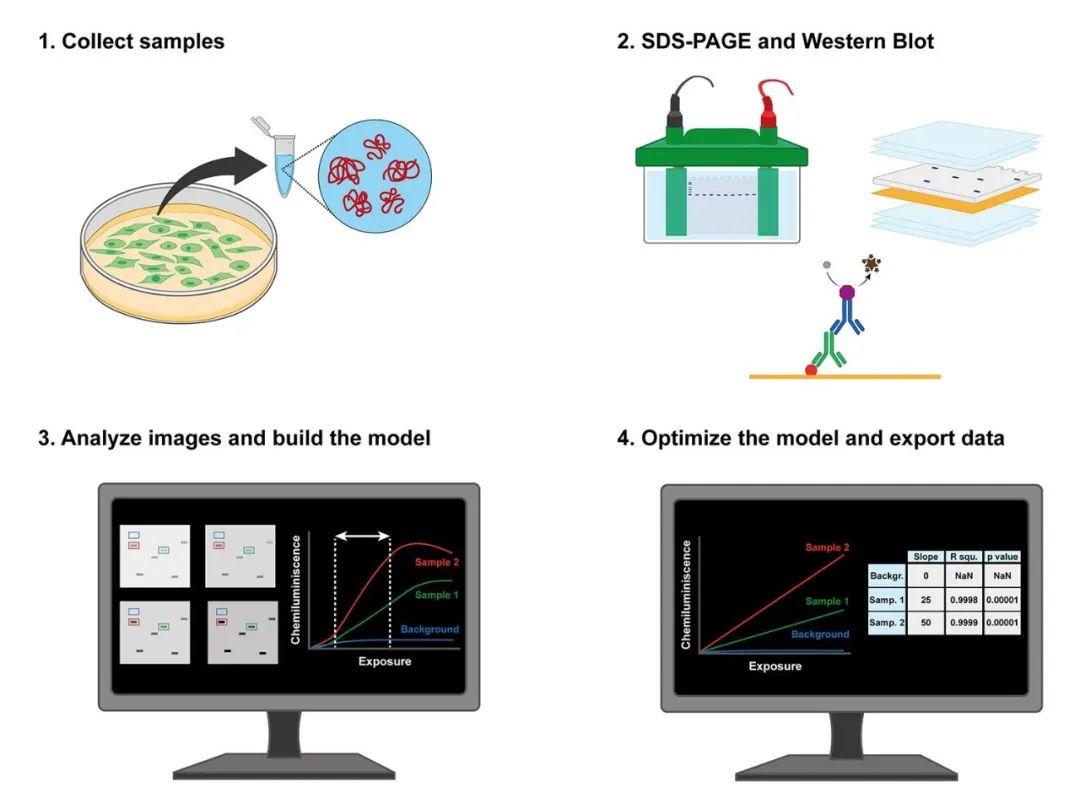 Bio-protocol | 2023年5月5日最新上线实验方案目录 - 知乎