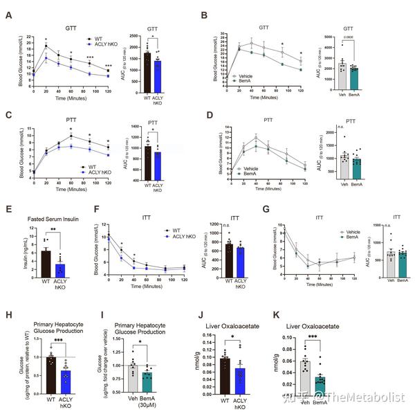 代谢学人--Cell Metabolism：NASH刺客 -- ATP柠檬酸裂解酶 - 知乎