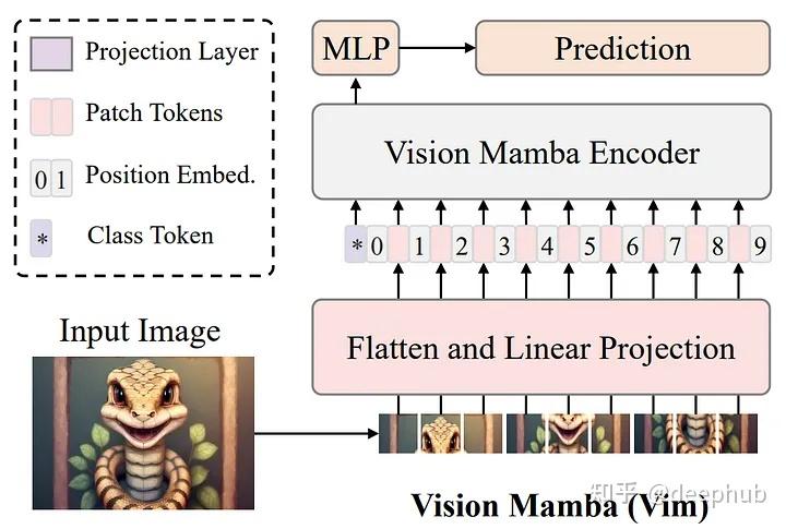Vision Mamba:将Mamba应用于计算机视觉任务的新模型 - 知乎