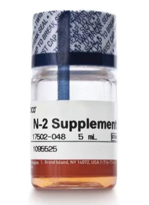 B27和N2添加剂之间的区别 - 知乎