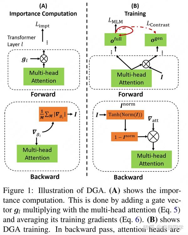 Adapting a Language Model While Preserving its General Knowledge - 知乎