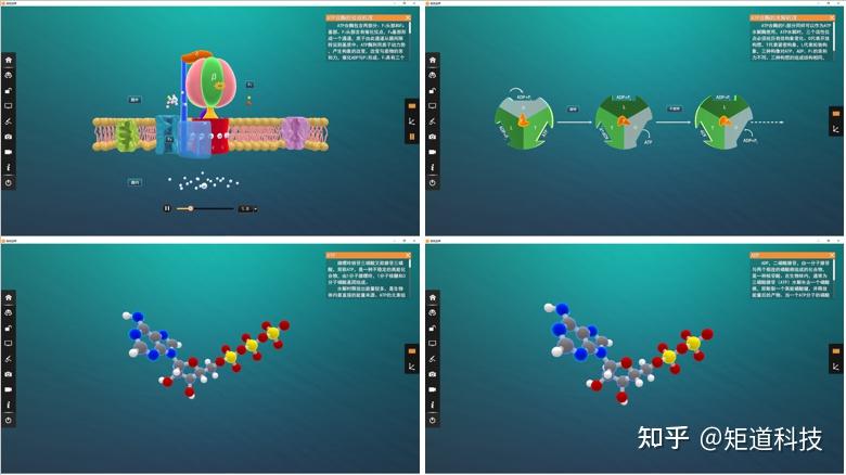 【VR+生物】核心素养视域下的高中生物模型建构是如何实现的？ - 知乎