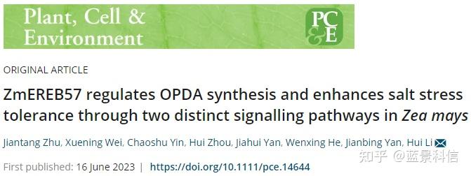 DAP-seq技术在ZmEREB57调控OPDA合成提高玉米耐盐性研究中的应用 - 知乎