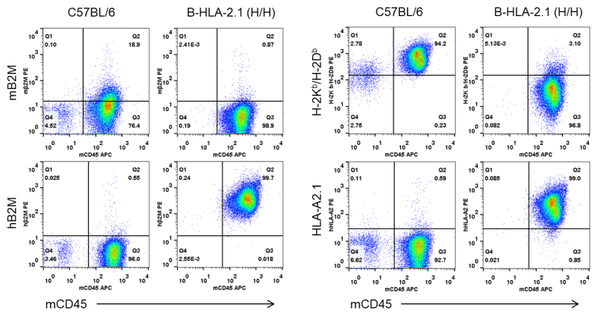 基因“身份证”--人类白细胞抗原：HLA - 知乎