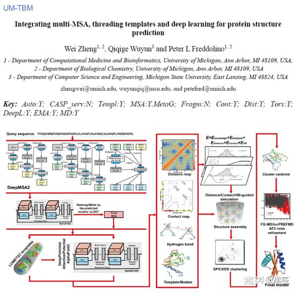CASP15蛋白结构预测冠军算法浅析 - 知乎