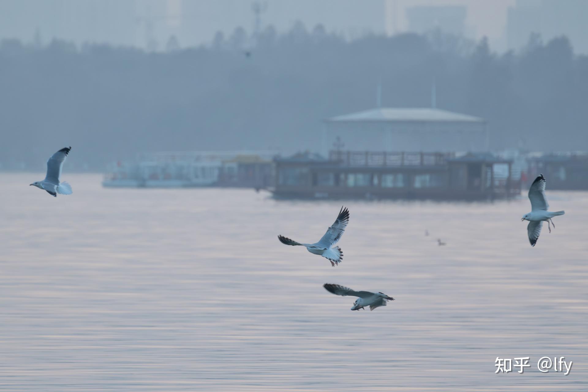 想知道尼康z30 18140已经溢价到八千多将近九千了，还值得买吗？ - 知乎