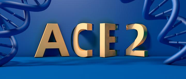 ACE2功能全解析 - 知乎