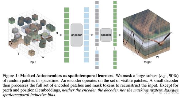 【大模型 259】图像大模型 MAE - 知乎