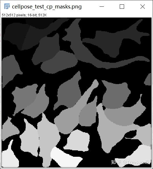 ImageJ实用教程——基于cellpose的不规则细胞分割（案例分析篇） - 知乎